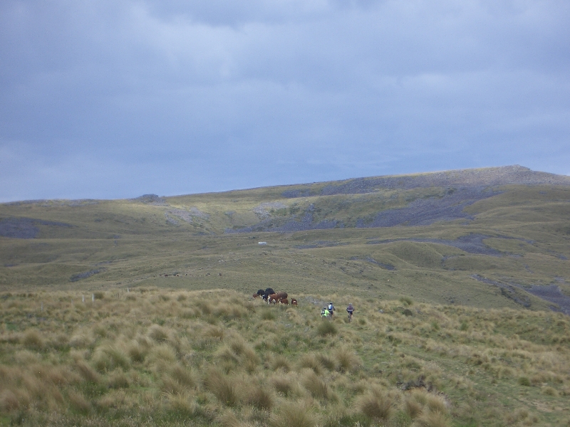 The locals hogging the track