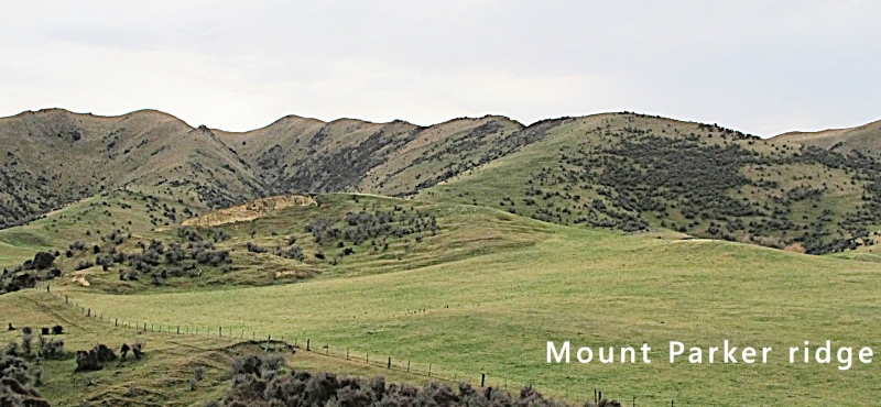 Mt. Parker Ridge