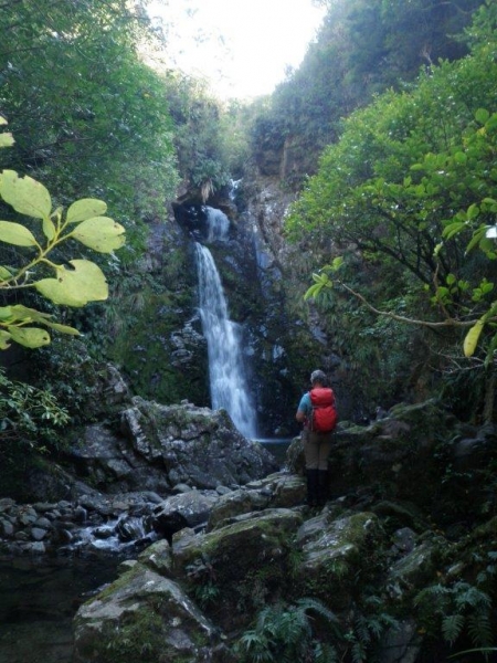 Nimrod Stream Waterfall